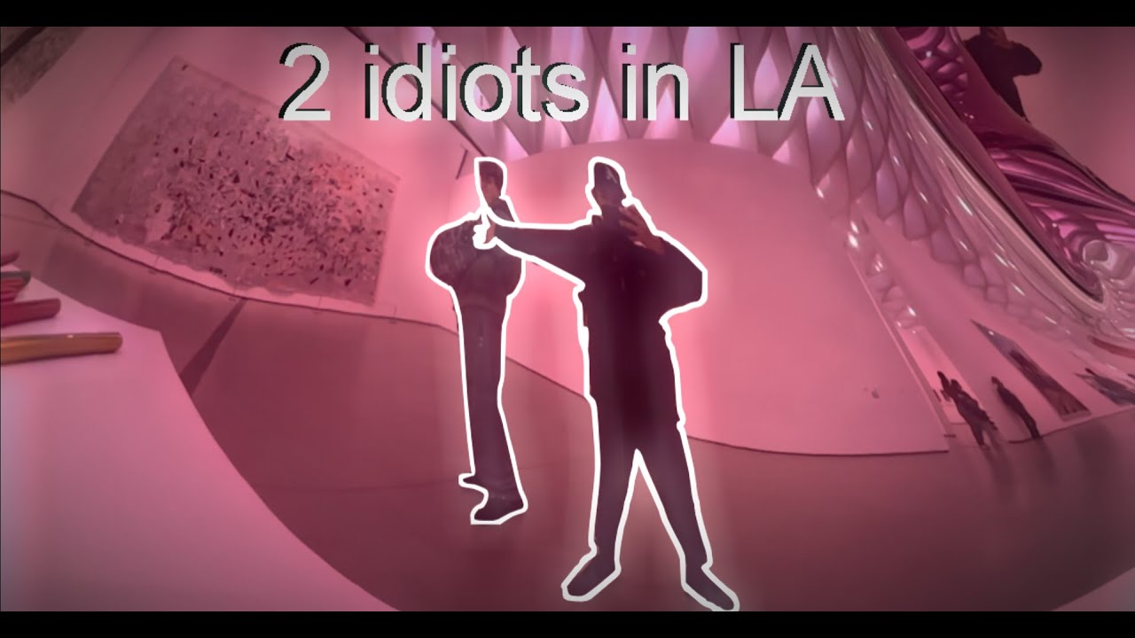 2 idiots in LA - YouTube