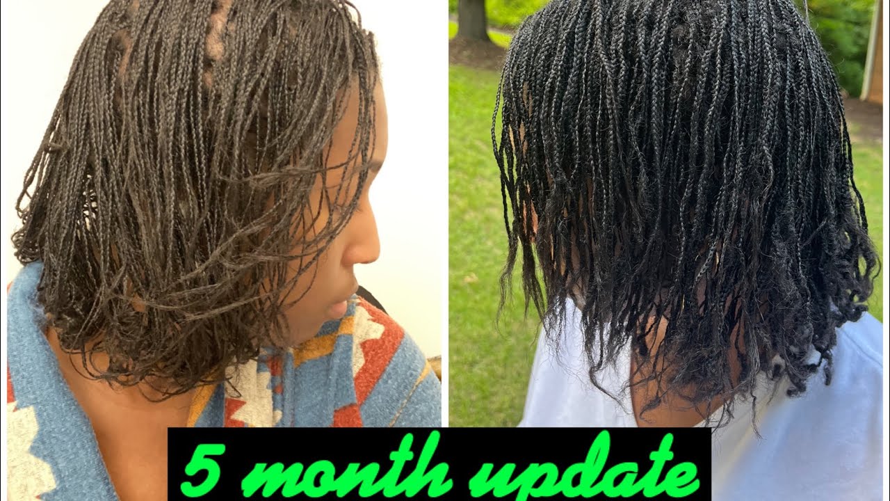Micro Braid Locs | Microlocs 5 month update !!!! - YouTube