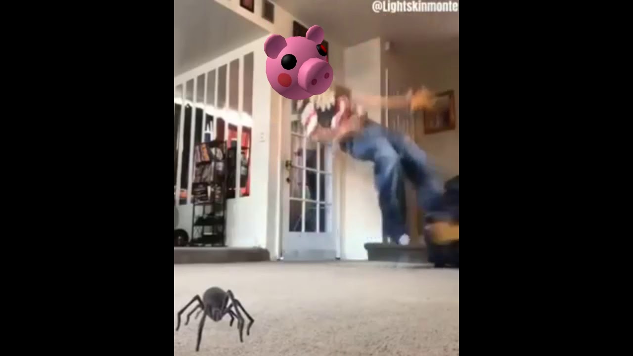 Piggy Watch A Spider - YouTube