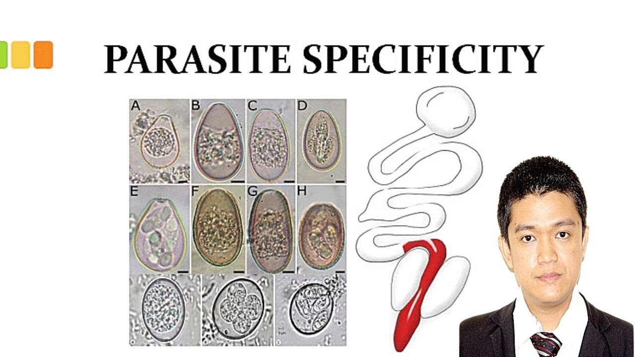 VET PARA 1 | Parasite Specificity | Chapter 2 - YouTube