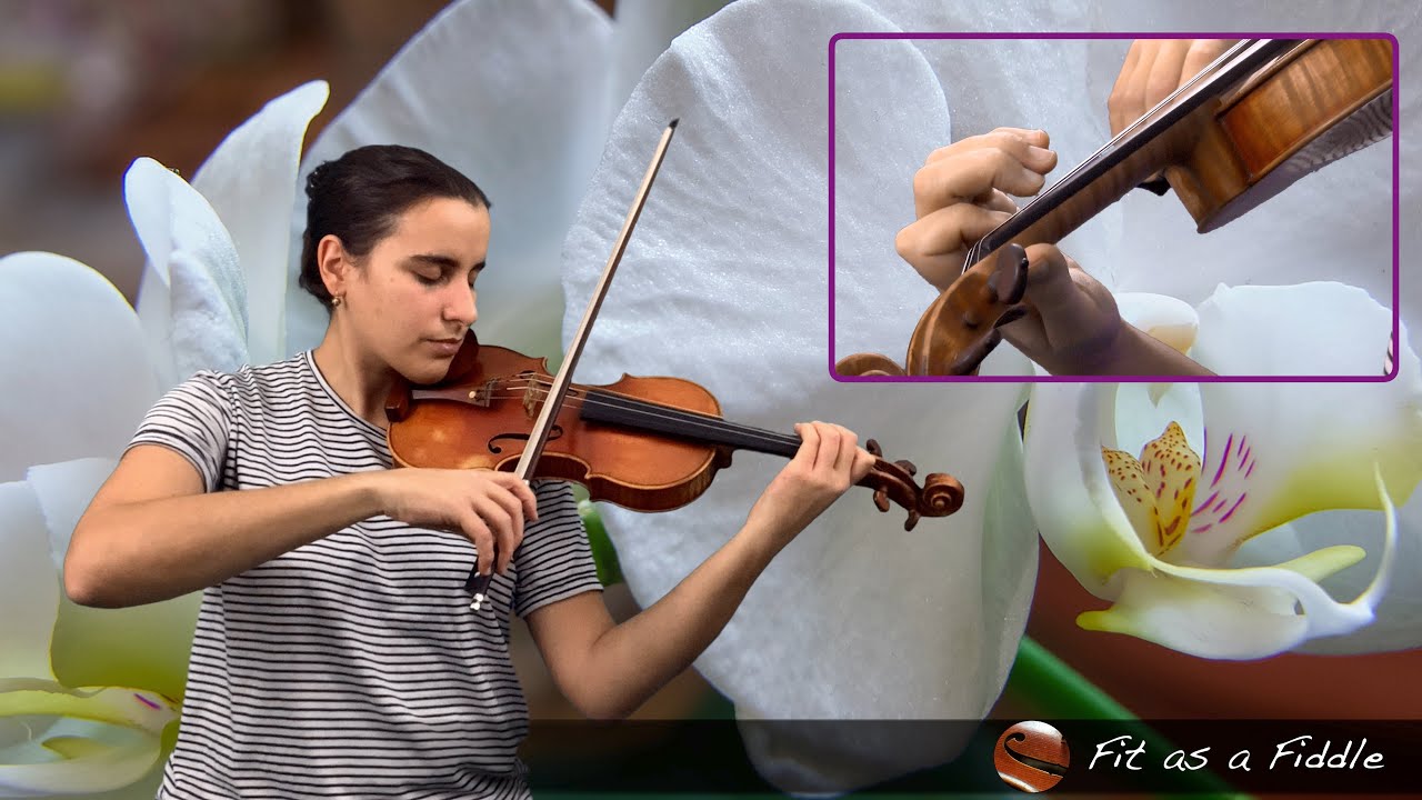 Mary Cohen, Techniques Takes Off! 14 Intermediate Studies #14 - Romance ...