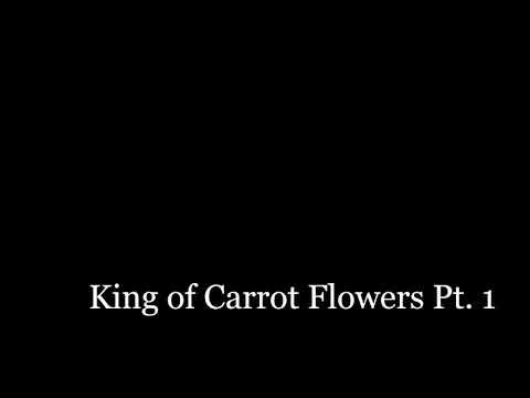 King of Carrot Flowers Pt. 1 - Neutral Milk Hotel cover - YouTube