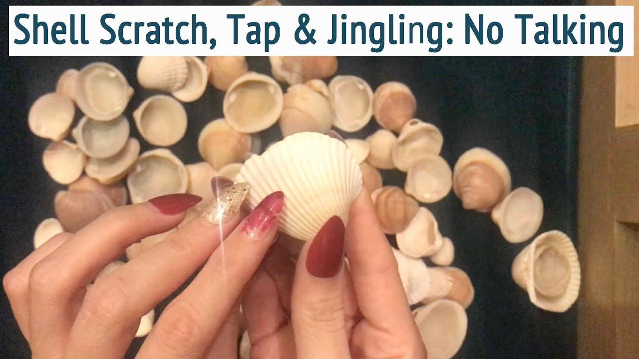 🐚ASMR * SHELL Sounds! 🐚 *Jingling, Tapping & Scratching * No Talking ...