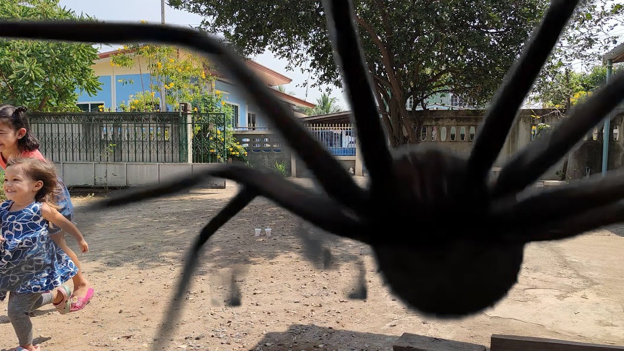 Giant spider attack - YouTube