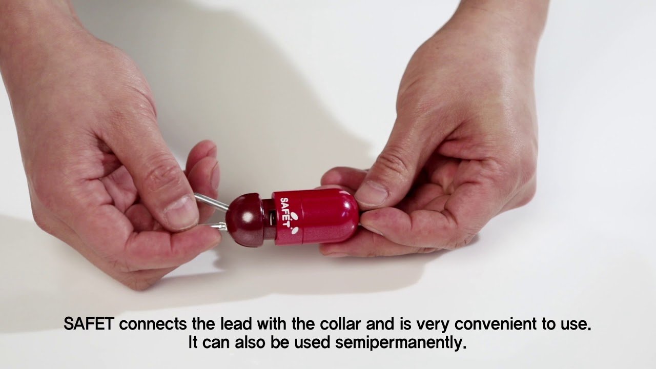 Elevator safety equipment for pets "SAFET" - YouTube