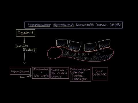 Diyabetin Akut Komplikasyonları: Hiperosmolar Hiperglisemik Nonketotik Durum (Sağlık Bilgisi ve Tıp)