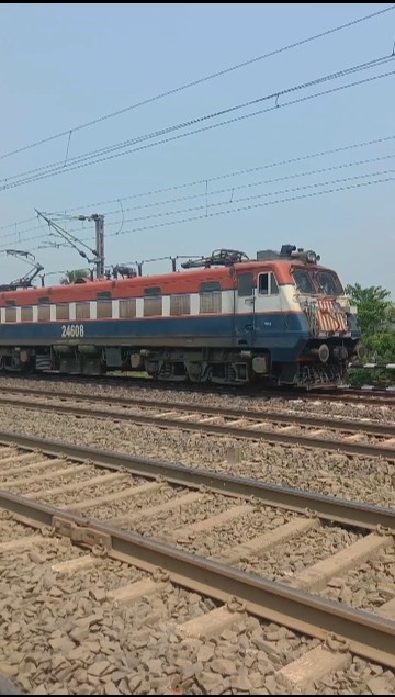 Tiger Face Wag 7 Leading Long BCNA Freight Train #Shorts #viralshorts # ...