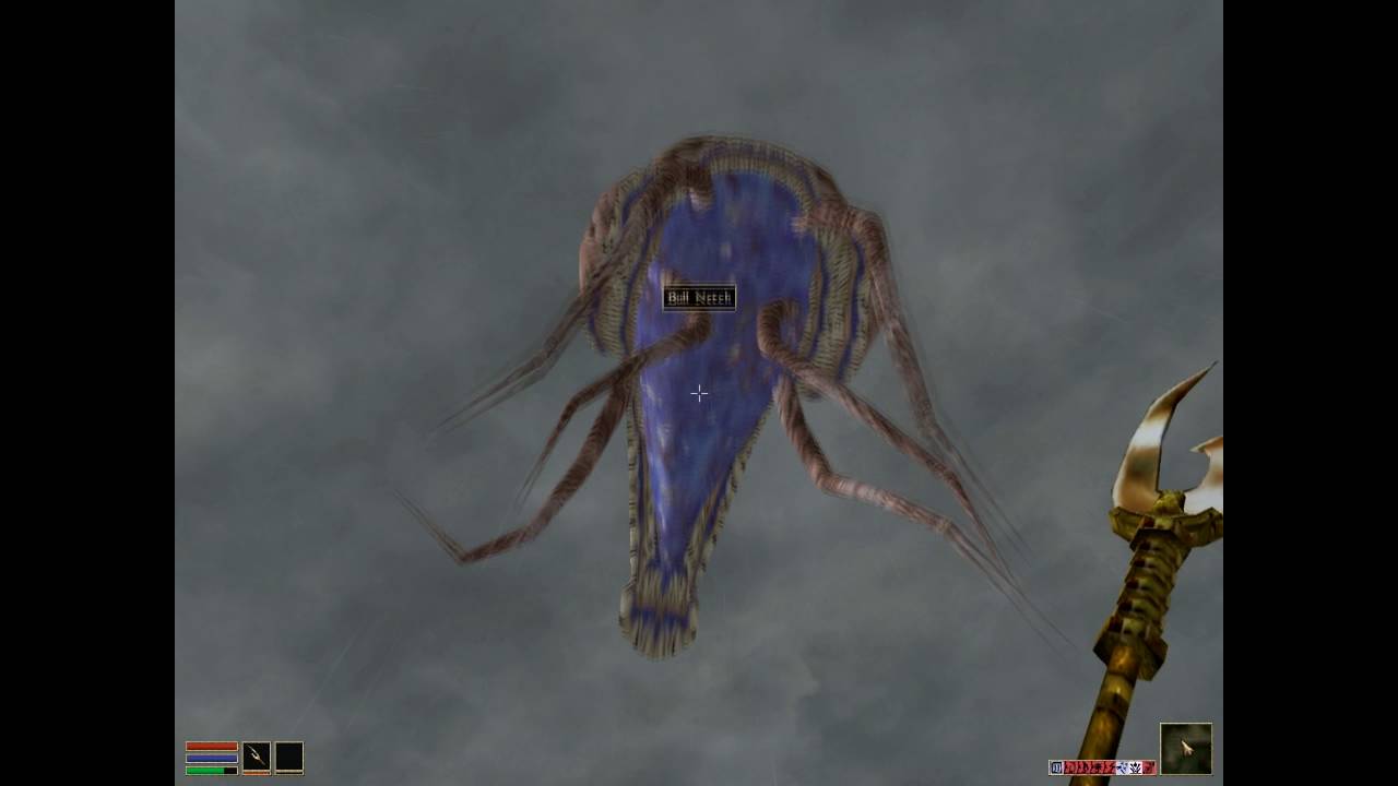 Let's Play Morrowind Part 22: A Man and His Guar - YouTube