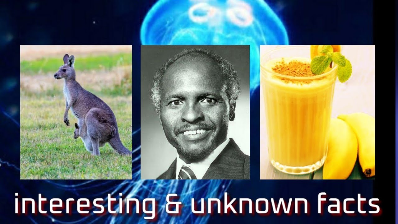 8 Interesting facts -2 - YouTube