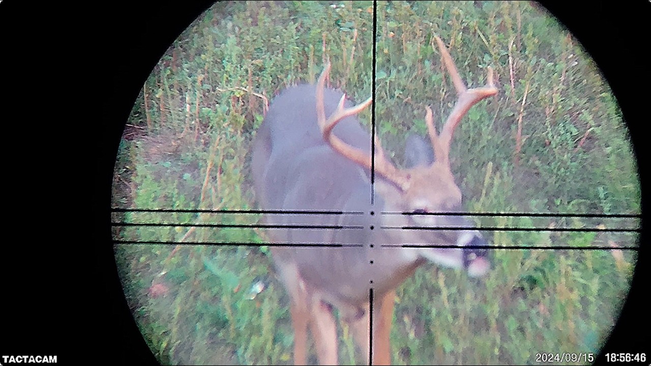 Hunting For My BIGGEST BUCK (Scope Camera) - YouTube