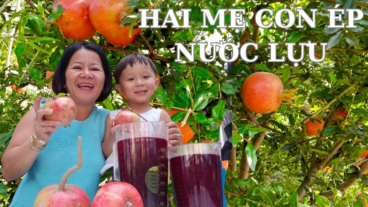 CON LAI VIỆT Ý 4 TUỔI QUÁ GIỎI BIẾT GIÚP MẸ ÉP LỰU UỐNG |Vợ Việt Chồng ...