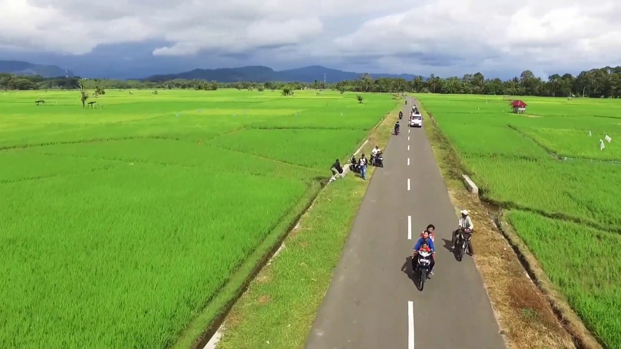 Drone view sawah 😊 - YouTube
