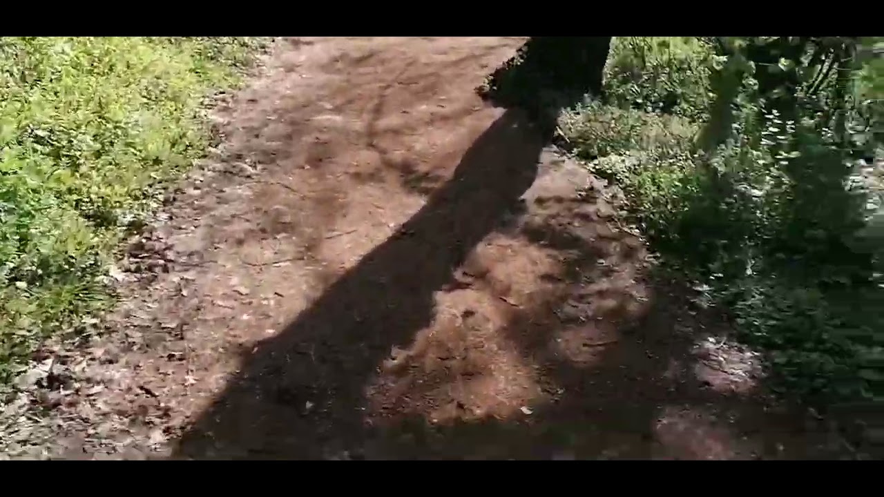 Savet pred Maraton i ostalo - YouTube