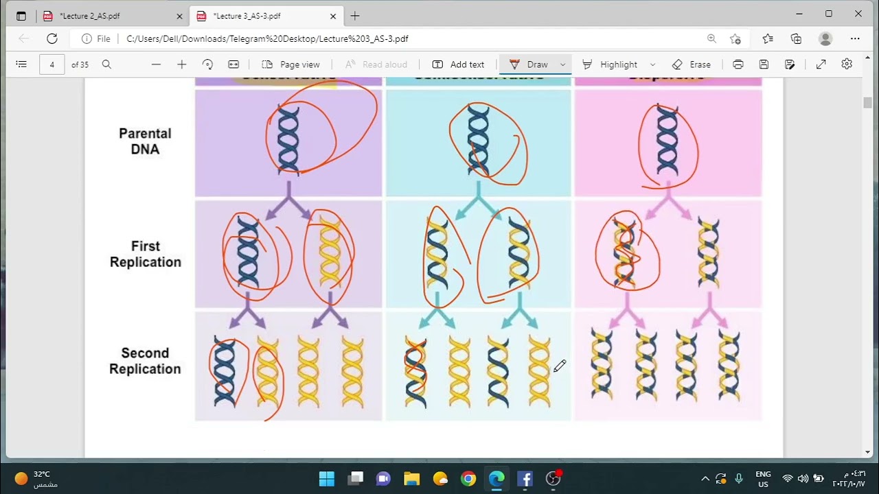 L3-p1 Prokarutic DNA Replication 🧬 - YouTube