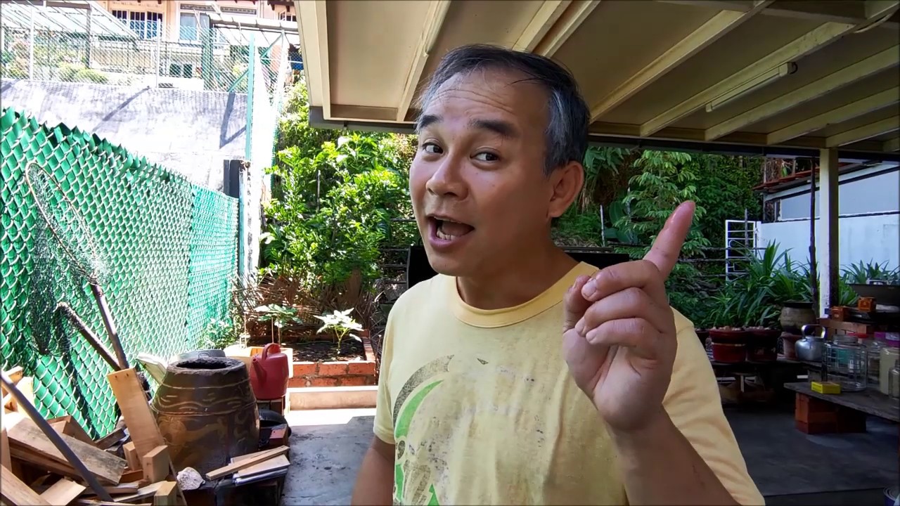 Chef Sam - how to choose and cook gong gong - YouTube