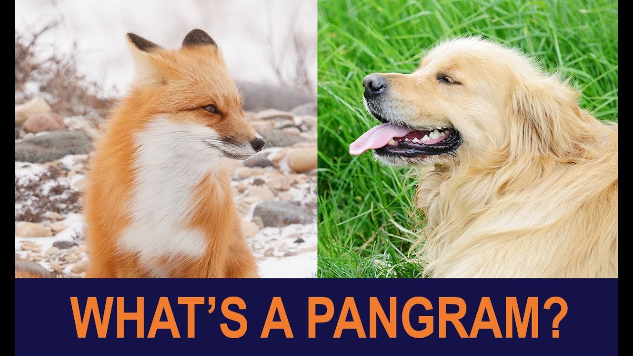 What The Heck Is A Pangram 1001 THINGS YouTube what-the-heck-is-a-pangram-1001-things-youtube