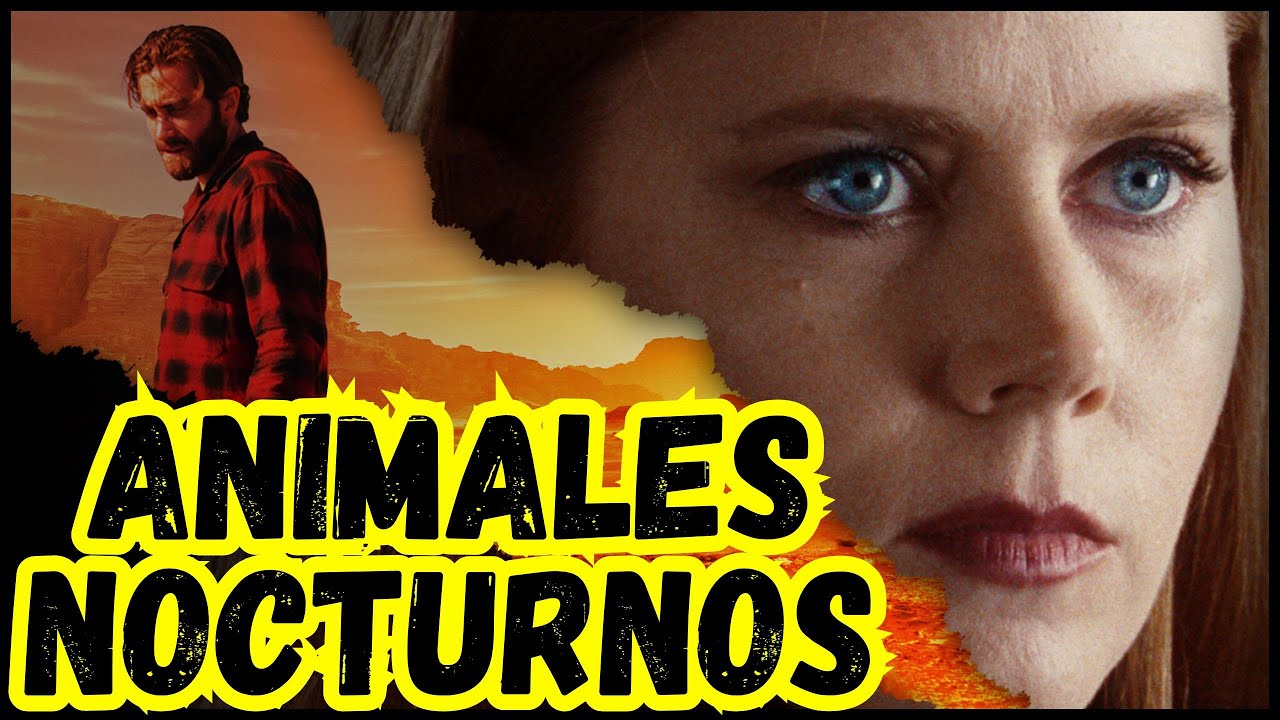 Animales Nocturnos: Explicación completa y final explicado - YouTube