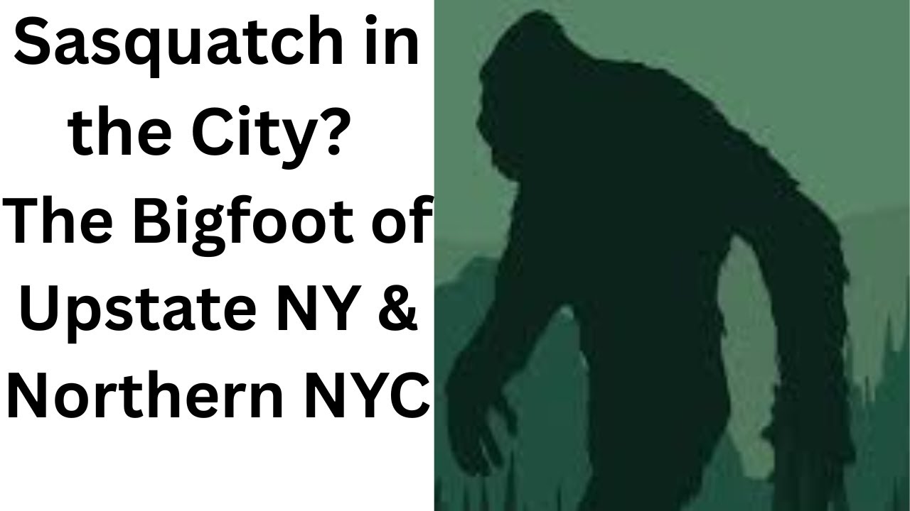 Sasquatch in the City? The Bigfoot of Upstate NY & Northern NYC - YouTube