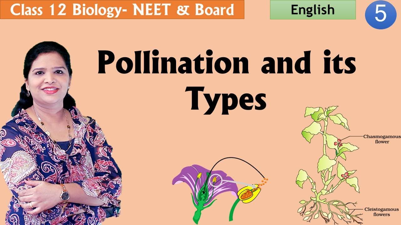 Pollination and its Types | Adaptations for Self- Pollination (NCERT ...