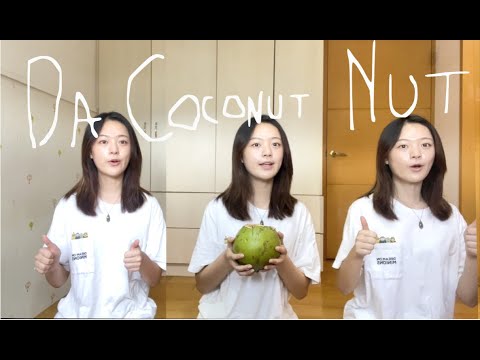 Coconut Song cover (Da Coconut Nut) 加長版 - YouTube
