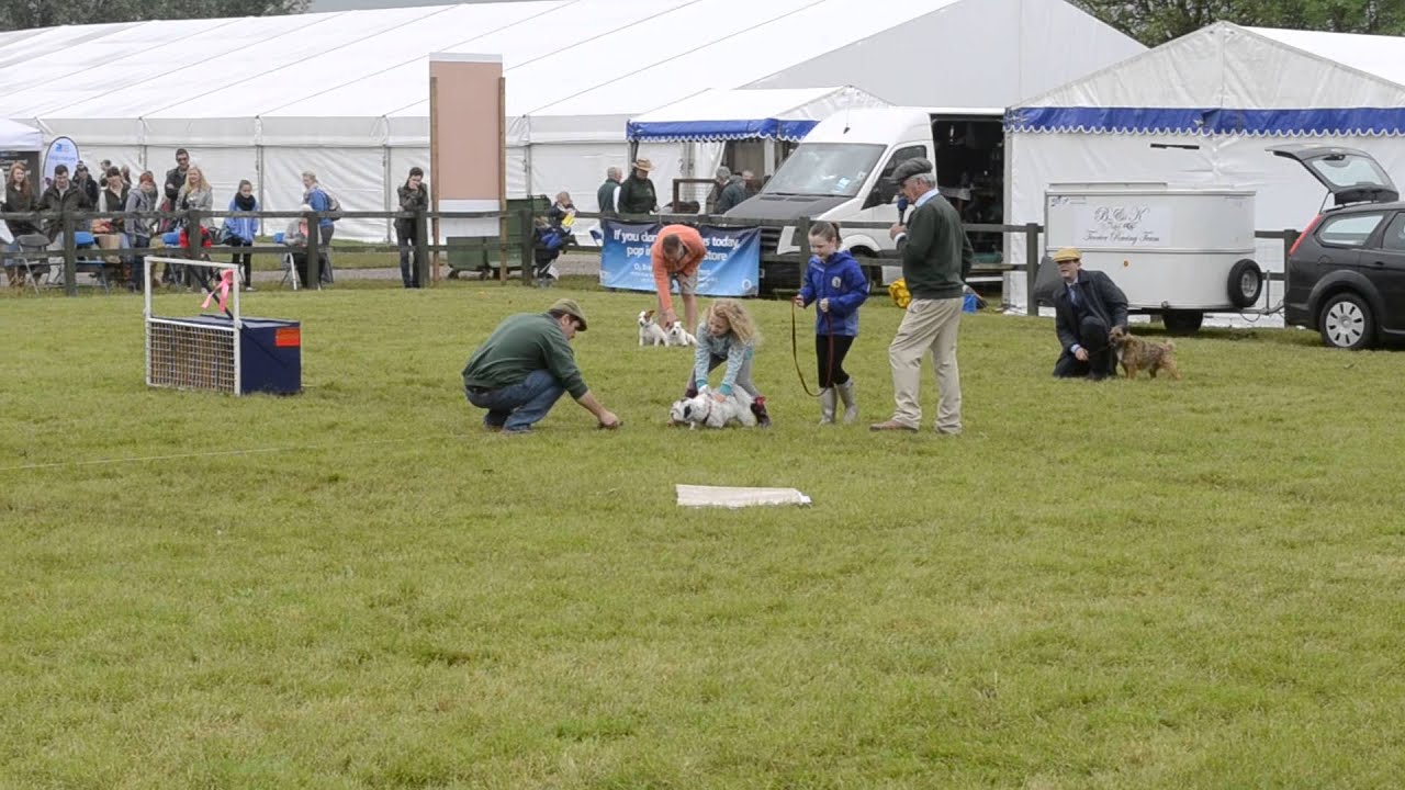 Terrier Racing at The Royal Bath & West Show 2014 - YouTube