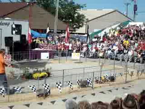 Wisconsin State Fair - Pig Race (Main Event) - YouTube