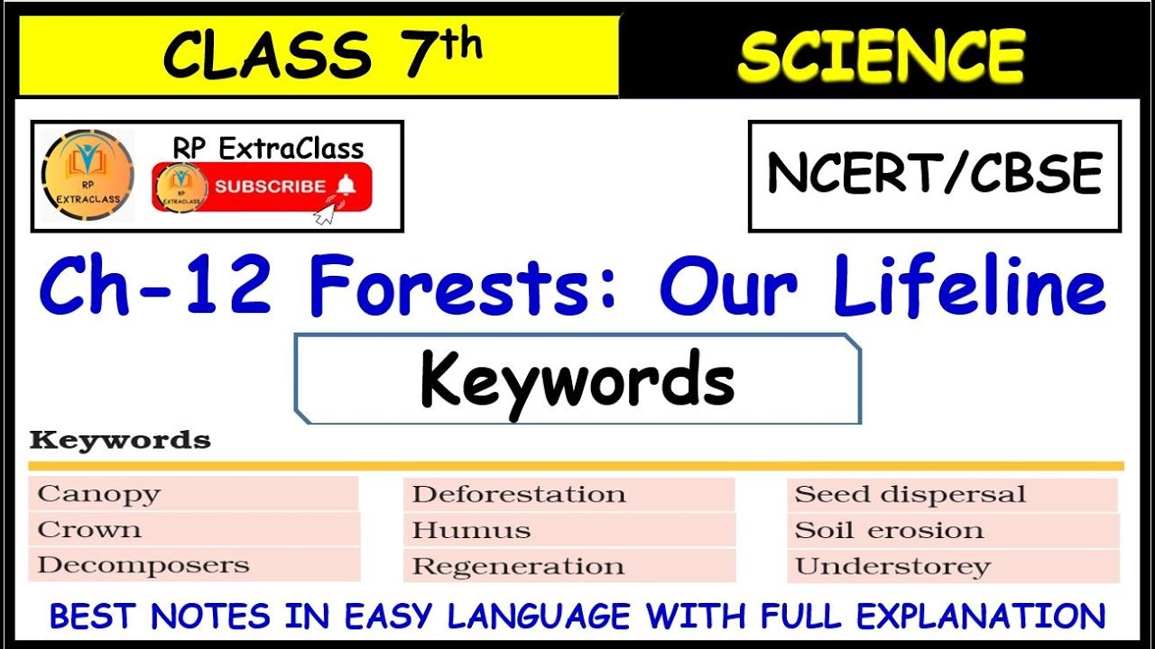 Class 7 Science Chapter 12 Forests: Our Lifeline Keywords - YouTube