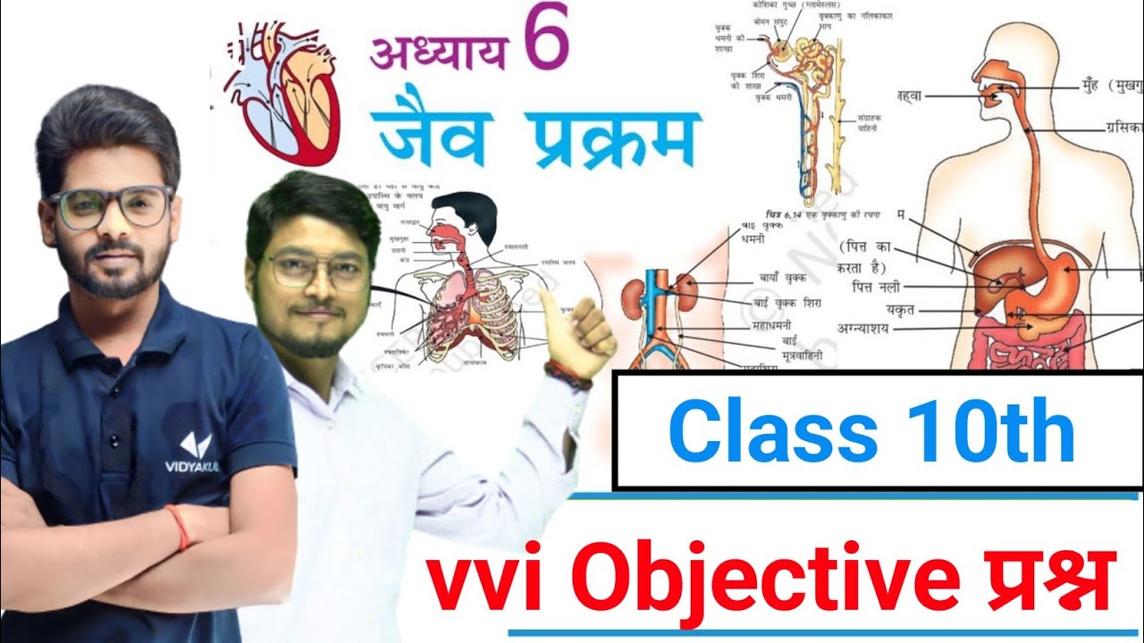 Biology class 10 chapter 1 bihar baord | Class 10 biology chapter 1 ...