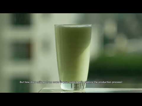 UPLB THOSS x Milk Production Process - YouTube