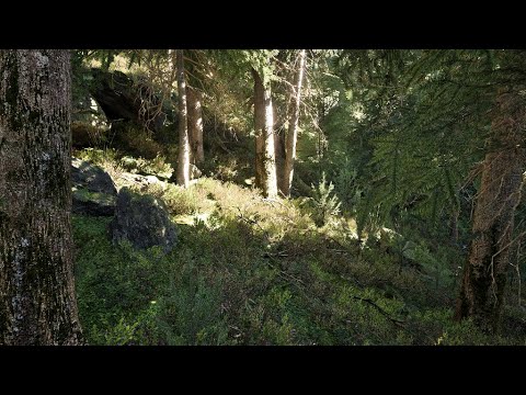 Unreal Engine 5 - Creating a forest environment using the Procedural Instance Spawner ...