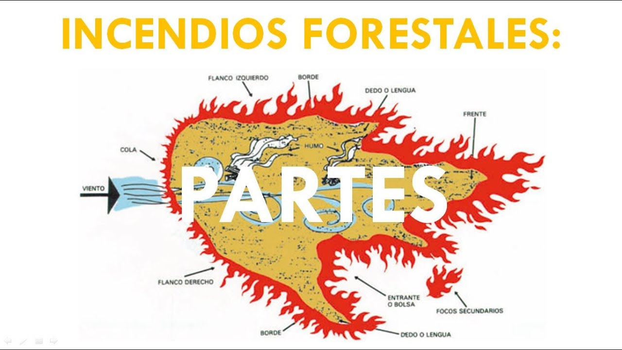 INCENDIOS FORESTALES: PARTES - YouTube