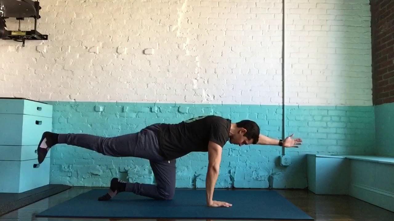 Alternating Bird Dog - YouTube