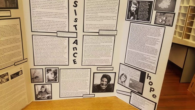 Creative Tri Fold Poster Board Ideas