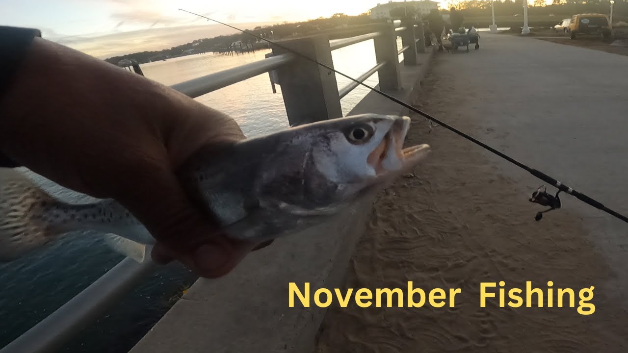 November Fishing - YouTube
