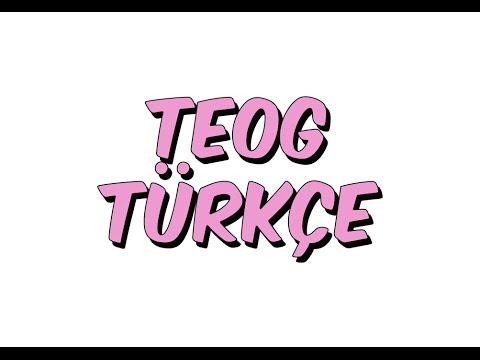 TÜRKÇE SINAVI | 8.SINIF