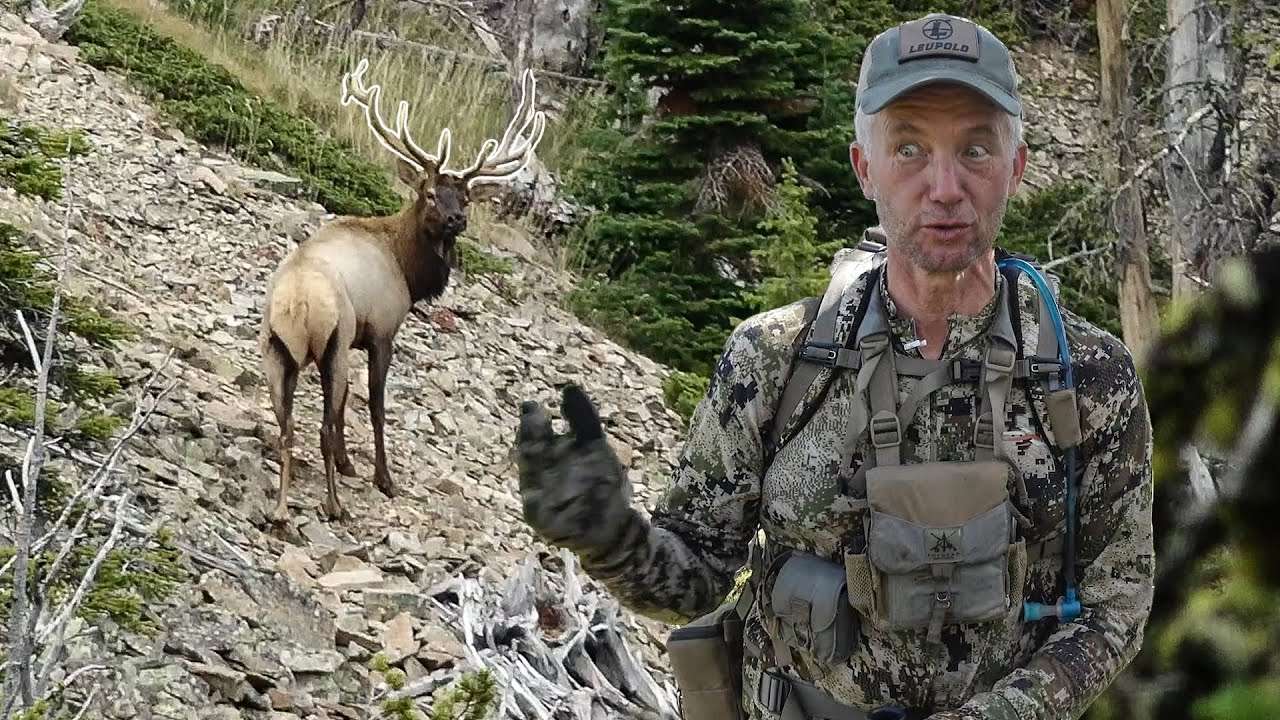 LESSONS LEARNED: A Gamble Gone Wrong (Montana Archery Elk) - YouTube