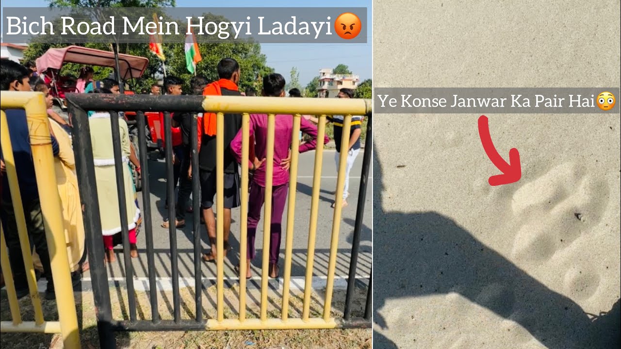 Road Rage 😤 Subha Subha Bich Road Mai Hogyi Ladayi | Ye Konse Janwar Ka ...