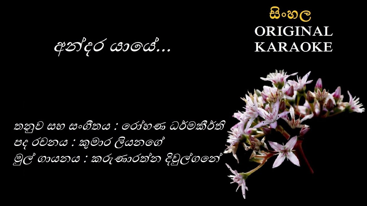 Andara Yaye - අන්දර යායේ -KARAOKE- Karunarathna Diwulgane/Kumara ...