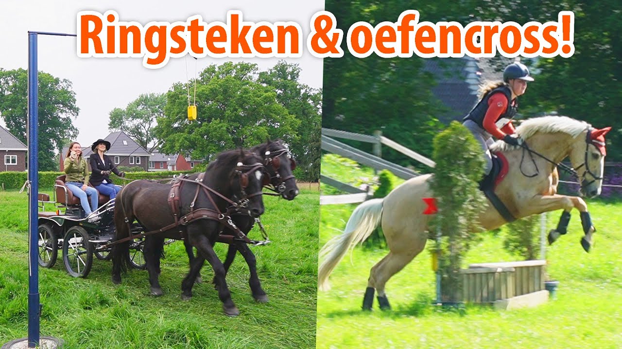 RINGSTEKEN, les van JILL & mee op OEFENCROSS! - YouTube
