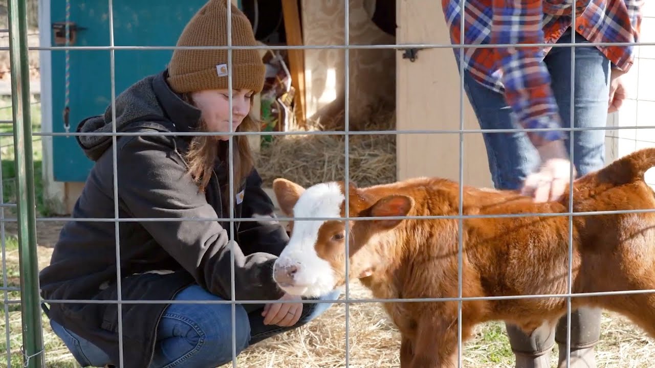 Jess Sowards - The Deepest Desire of My Heart - YouTube