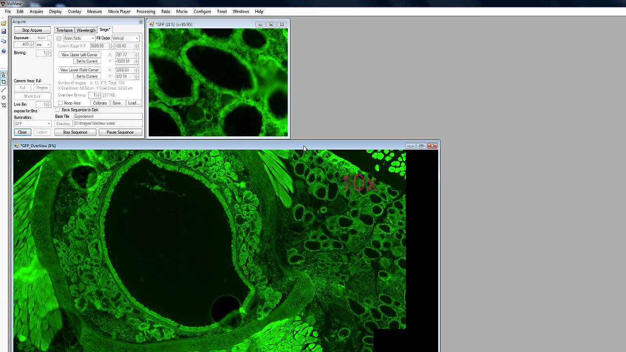 VisiView Application Module: Scan Slide - YouTube