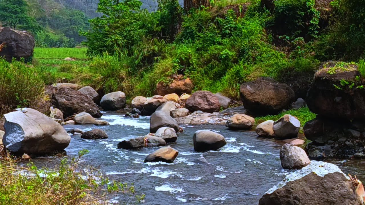 Java Forest River Sounds for Sleep, Relaxation & Stress Relief | Natural Indonesian Nature ...