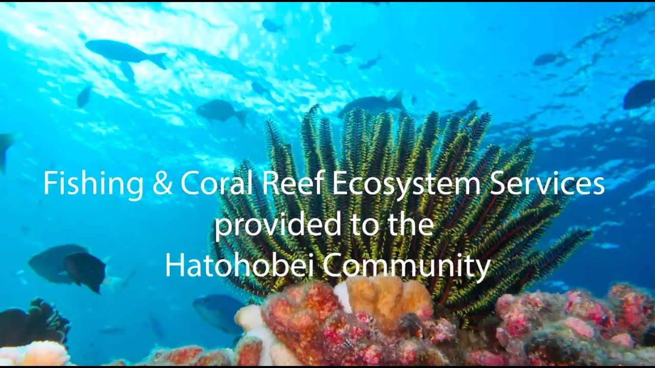 Fishing & Coral Reef Ecosystem Services provided to the Hatohobei ...