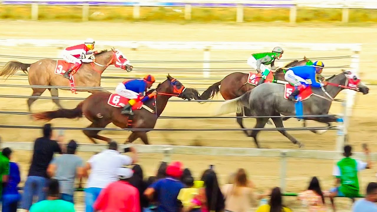 02 classificatória FLEXA ZOOM VENCEDORA 16/03/24 jockey clube cearense ...