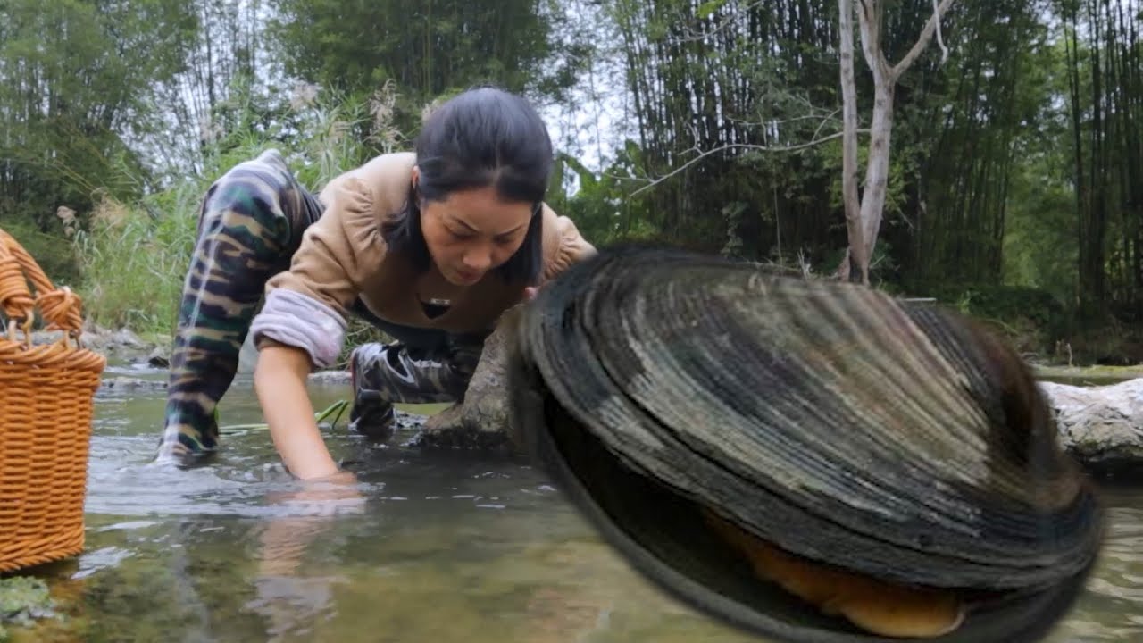 In 1800, the clam shell emerged from the cave, and the girl collected ...