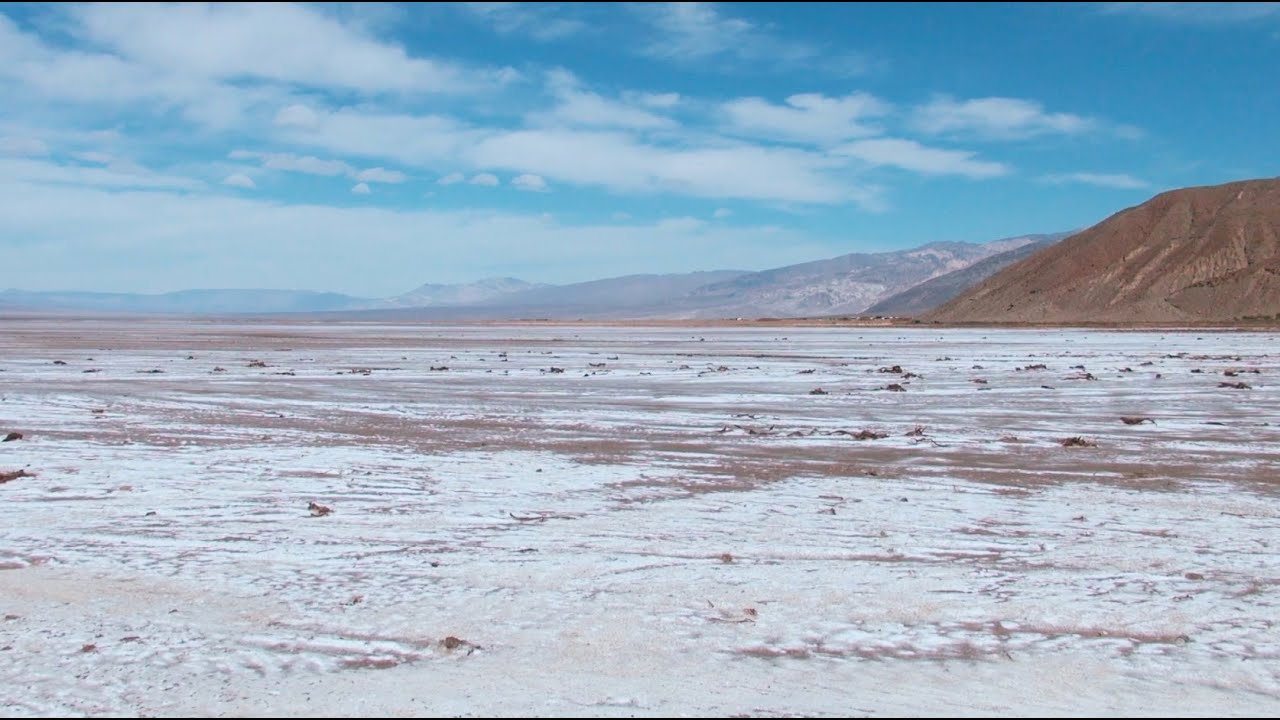 Science Today: Life on the Salt Flats | California Academy of Sciences ...