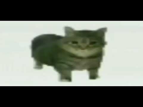 oo ee aa e cat 5 hours - YouTube