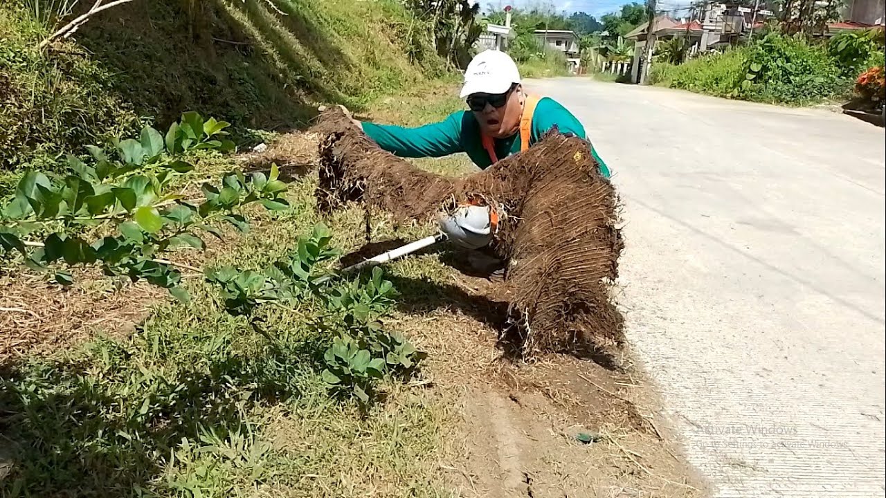 INSANELY OVERGROWN Sidewalk NEGLECTED | People are already walking in ...