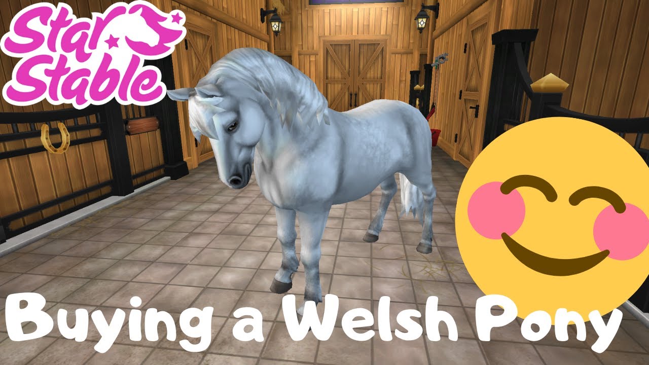Star Stable Online || Buying a Welsh Pony! - YouTube