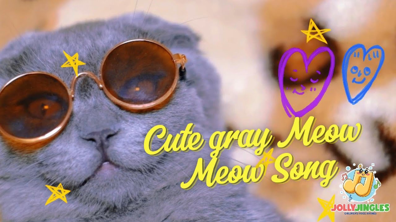 Cute gray cat meow meow Song| Kitty Kids Rhyme - YouTube